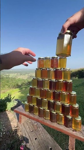 💛🖤 Deluxe Black & Yellow Friday bundle 🐝