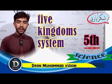 Kingdom System/Kingdom Protista Explained | Science Class5 | English M5KingdomSystem Protista