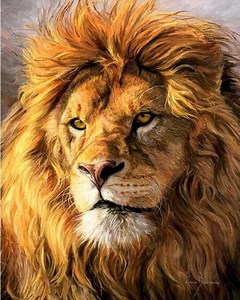 Lion Portrait