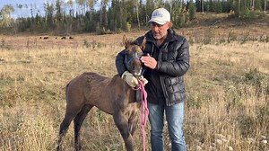 418K views · 25K reactions | Ken, is showing some emotion as we...