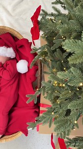 20K reactions · 70 comments | It’s Christmas Launch Week! ✨ Our biggest and most magical collection yet is coming this Friday 12th September at 11am AEST  Or if you’re on the waitlist you’ll be shopping early access at 10am 殺 | Little and Fern | Facebook