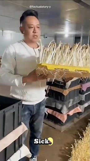 delicious peanut sprouts 🥳 #trendingshorts #trending2025 #peanuts