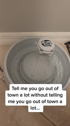 Candace Kettlehut on TikTok