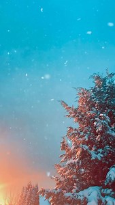 A timeless Christmas moment. ✨ I Know a Rose Tree – Sacred Night Listen everywhere. 🎧 | Secret Garden