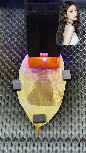 Can a Laser Engraver Turn a Simple Leaf into a Stunning Portrait?