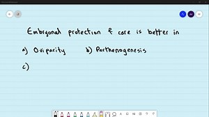 SOLVED:Embryonal protection and care are better in (a) Oviparity (b) Parthenogenesis (c) Viviparity (d) Polyembryony