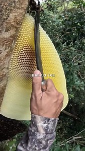 6 Japanese Techniques to Overcome Laziness 🌸 Feeling stuck or unmotivated? 😮‍💨 Japan has timeless methods that help you break through laziness with calm, clarity, and small intentional steps. These techniques aren’t about pressure—they’re about gentle progress and mindset shifts. ✨ From tiny 1% improvements to reconnecting with your deeper purpose, these six practices can help you reset your energy and finally move forward. 🚀 ❤️ Like if this inspired you 💾 Save this so you don’t forget thes