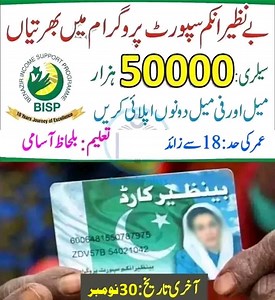 158K views · 2K reactions | Benazir Income Support Program BISP Jobs #todayjobs #onlinejobs #latestjobs #newjobs #hiringnow #govtjobs #benazirjobs | Latest Jobs 2025 | Facebook