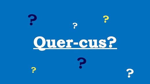 10K views · 193 reactions | U of T’s new Learning Management Engine has a name: Quercus! Here’s a quick video on where the name came from and what to look forward to in Quercus. | University of Toronto | Facebook