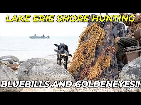 Lake Erie SHORE HUNTING! | Diver Duck Hunting Big Water