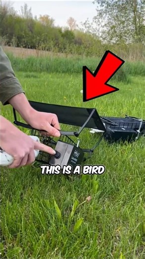 Insane Dog Training Machine 🐦