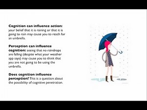 Cognitive penetration and top-down modulation in visual perception | Minds Online | An open access, online conference on topics in the philosophy and science of mind