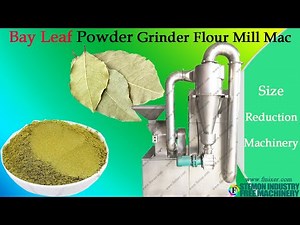Bay Leaf grinder machine for spices powder grinding by Hammer mill with cyclone and dust collector