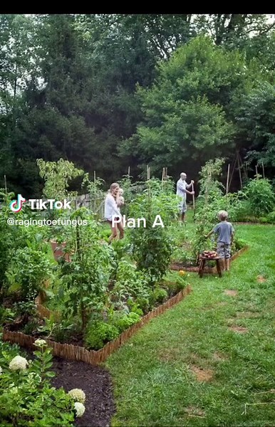 Small house, big yard 🌱🪴🦎🪲🐛#lifestyle #cottagecore #cottagecoreaesthetic #fairycore #cottageliving #moss #horticulture #comune #earth #nature #rurallife #farm #sustainability #earthship