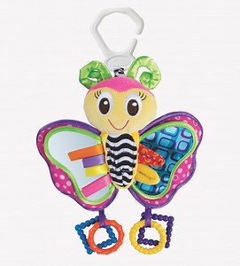 Activity Friend Blossom Butterfly