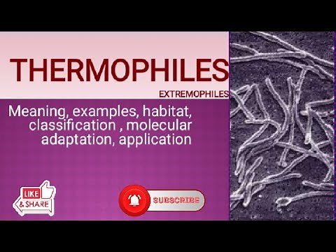 Thermophiles_ hyperthermophile_ Extremophiles: classification, molecular adaptation, application