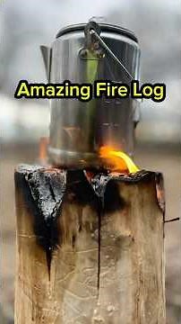 Amazing Fire Log