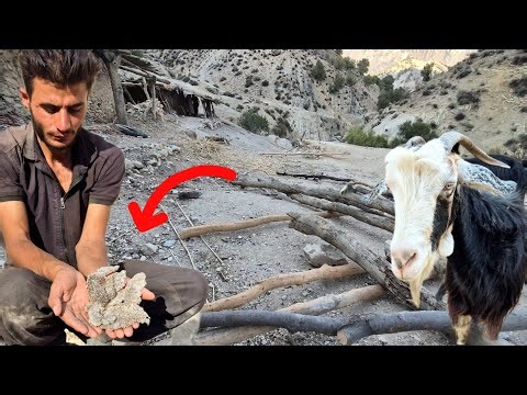 Why Did He Choose to Live Like a Primitive Man? | Shepherd Life With NO Electricity, Phone or Gas