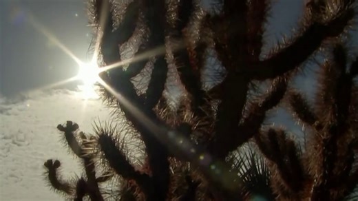 Extreme weather reported in multiple regions across the globe as heat wave death toll climbs in U.S.