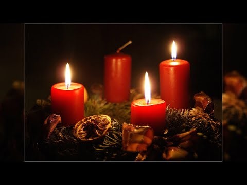 Santa Missa ao Vivo | 3º Domingo do Tempo do Advento - Celebração das 19h