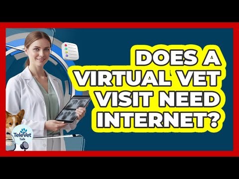 Does a Virtual Vet Visit Need Internet?