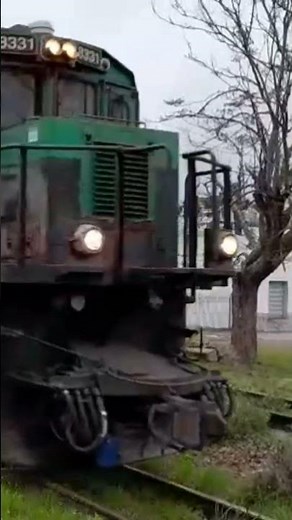 Trens cruzamento/Rio Negro PR #ferroviabrasileira #trensbrasil #rumo #trains #railway #train