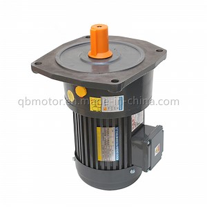 [Hot Item] Small 3-Phase Electric Motor 100W~3.7kw Gear Motor for Packing Machine