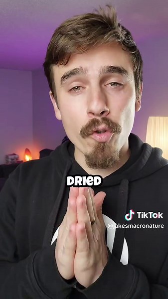 Guess the Macro Photo: Day 389 Challenge