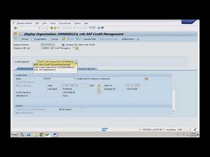 SAP S/4 HANA SD 2024 FSCM Credit Management 2 - 17