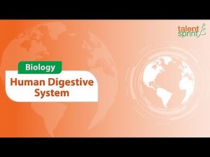 Human Digestive System | Biology | General Awareness | TalentSprint Aptitude Prep Video Lecture | Crash Course for AFCAT