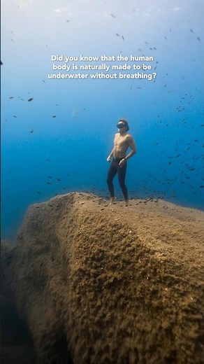 We have what is called the Mammalian Diving Reflex 👇🏼 #breathhold #freediving #tutorial #training