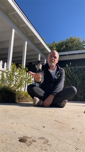 65 reactions | Ruby Diamond on Reels | Facebook