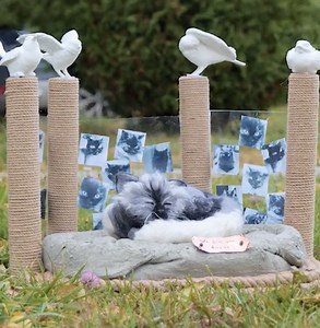 9.1K views · 15 reactions | Elaboración de lápidas y monumentos conmemorativos especiales para sus queridas mascotas | En modo Madera | Facebook