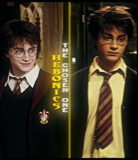 Ultimate Movie Binge-Watching Guide