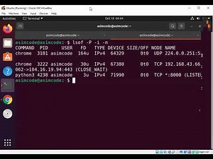 Linux lsof command for open connections and ports