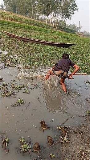 Today, I have never seen so many fish under the water hyacinth."#fishing