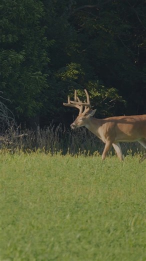 6.2K views · 94 reactions | “Being able to estimate the age of a live...