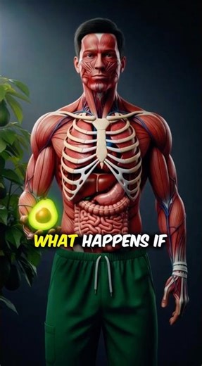 What Happens If You Eat Avocados Every Day? | Avocado Benefits Explained