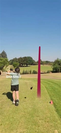 Sim 2 Max Raw power & Amazing Sound and distance.... is it still the best TM driver?