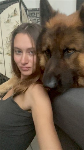 155K views · 10K reactions | My wolf wants treats! 領 #wolf #dog #cutedog #fluffy #viral #germanshepherd | apollo_germanshepherd | Facebook