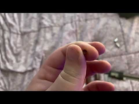 How to resize percussion caps from #11 to #10 size