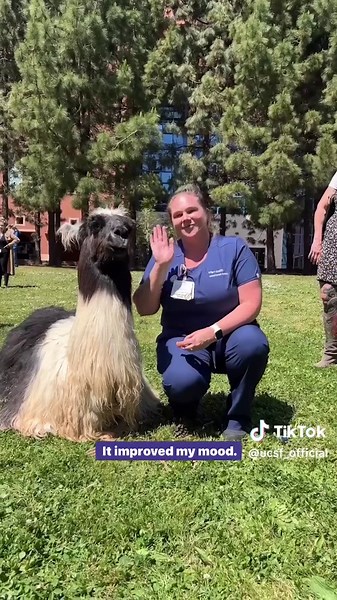 Step into the sunshine and recharge with us. Thanks to UCSF Wellness, our UCSF-ers took the time to destress and pet some llamas. Recess Time is an annual event hosted by Campus Life Services to allow learners, faculty, and staff to take a break from their busy day and decompress.