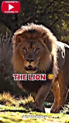 #goat #music #mindoverblox #minecraftmusic #duet #minecraft #animals #videogamemusic #funny