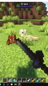 Comment apprivoiser une araignée sauteuse dans Minecraft avec Critters and Companions