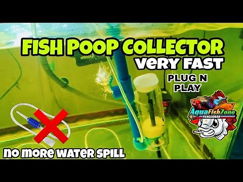 DIY FISH POOP COLLECTOR SIPHON, NO MORE WATER SPILL..NEED AERATOR PUMP..🎏🇵🇭