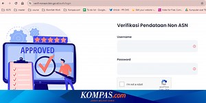 Pendataan Non-ASN, Simak Link, Syarat, dan Cara Pendaftarannya