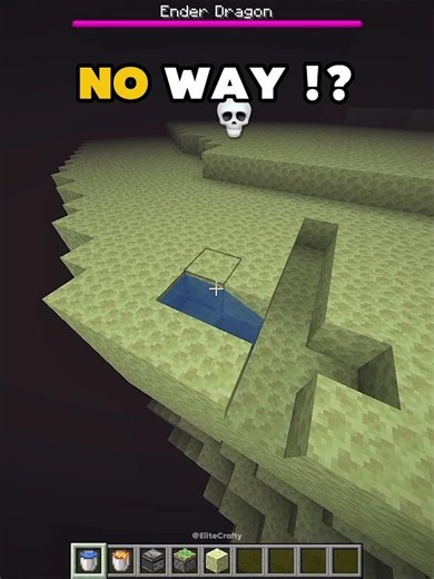 Minecraft Secret Elytra Hack 🤫