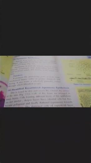 class 9 biology 🧫 chapter 2 tissue 🧬👉🤌