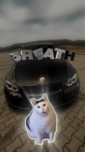 BMW: The Power of Pure Driving