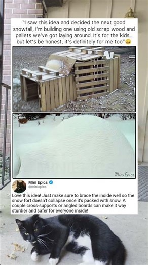 Building the Ultimate Snow Fort